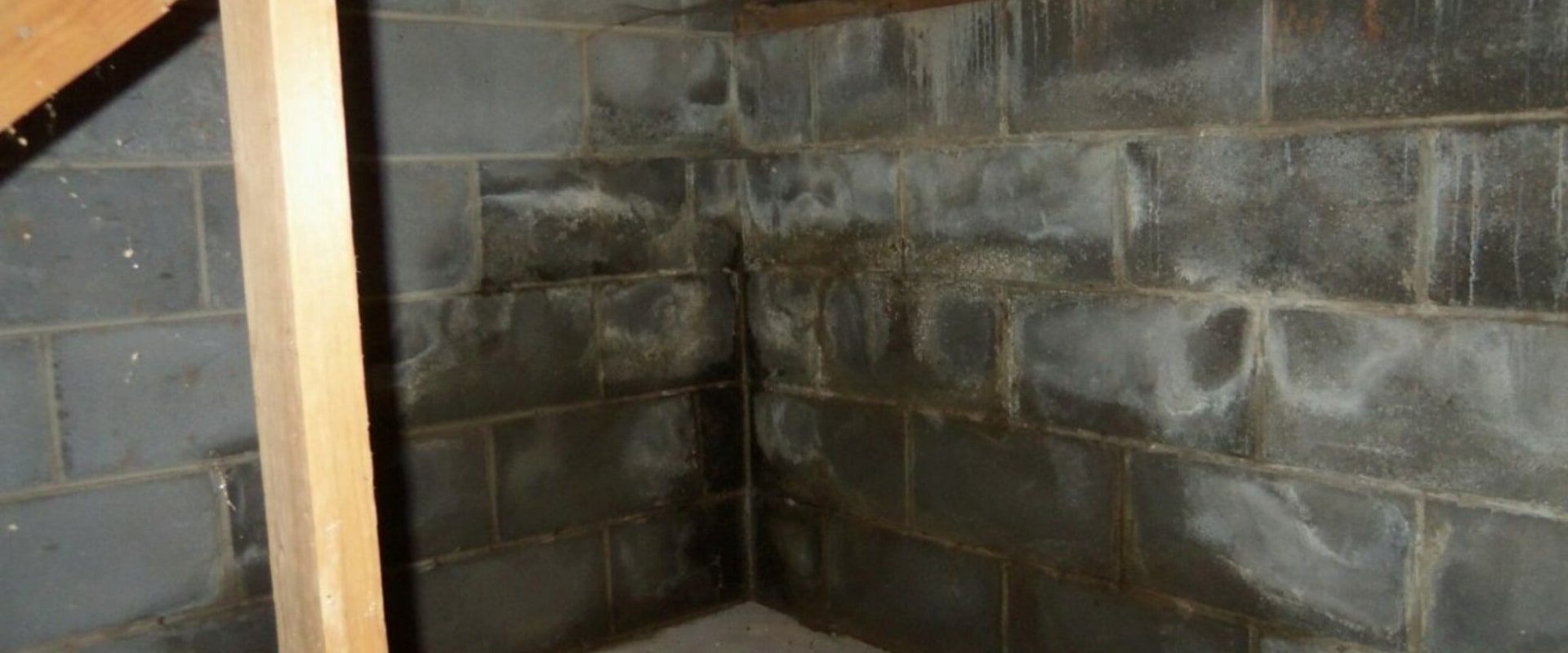 Wat is de beste waterdichting voor muren?